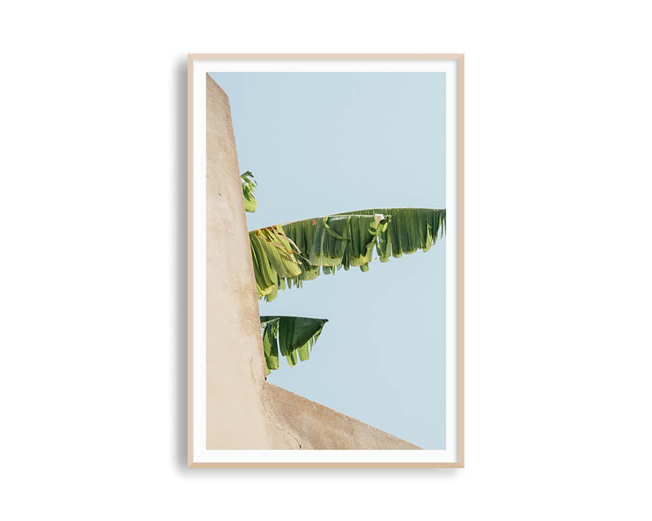 Banana Tree - Modern Wall Art Australia