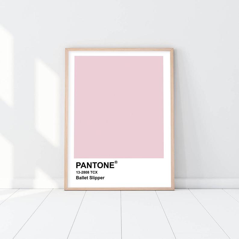 Pantone - Ballet Slipper